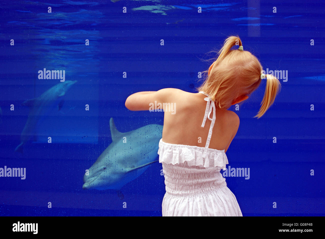 Delfin human hi-res stock photography and images - Alamy