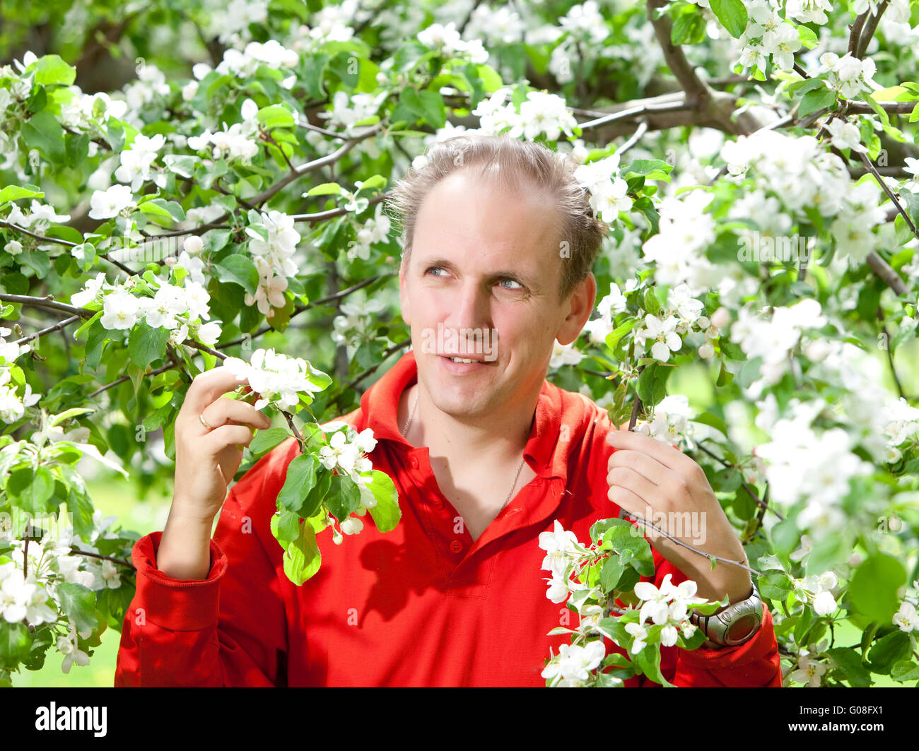 The attractive man at a blossoming apple tree Stock Photo - Alamy