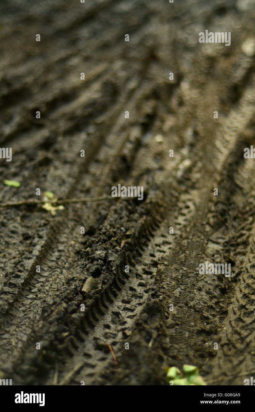 Background Of Mountain Bike Tracks In The Mud With Shallow Depth Of ...