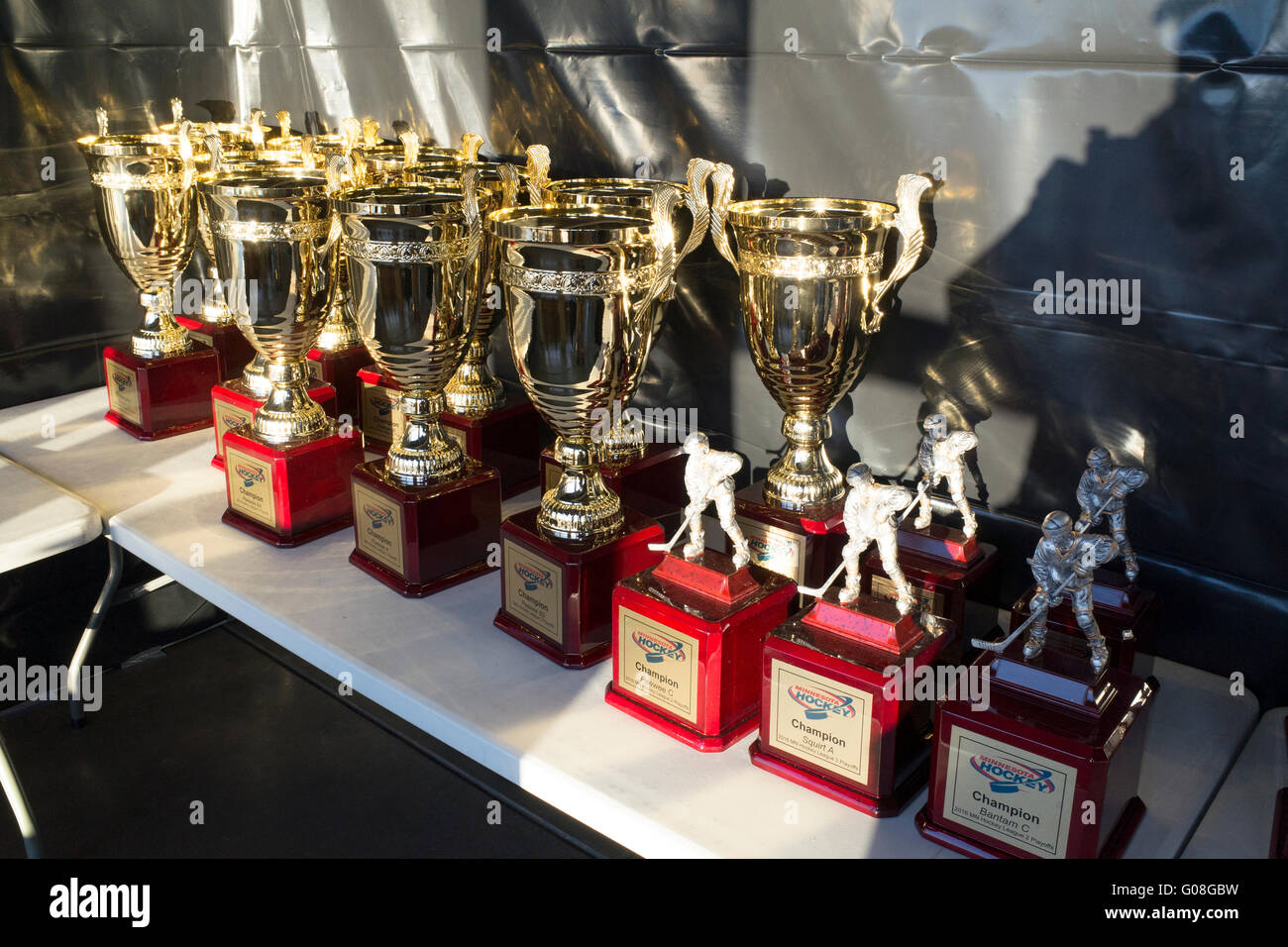 Array of hockey tournament trophies including cups and figure awards ...