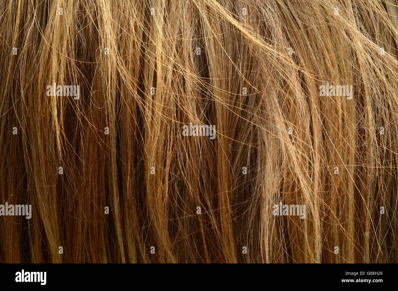 Abstract Background Texture Of Messy Coarse Animal Hair Stock Photo - Alamy