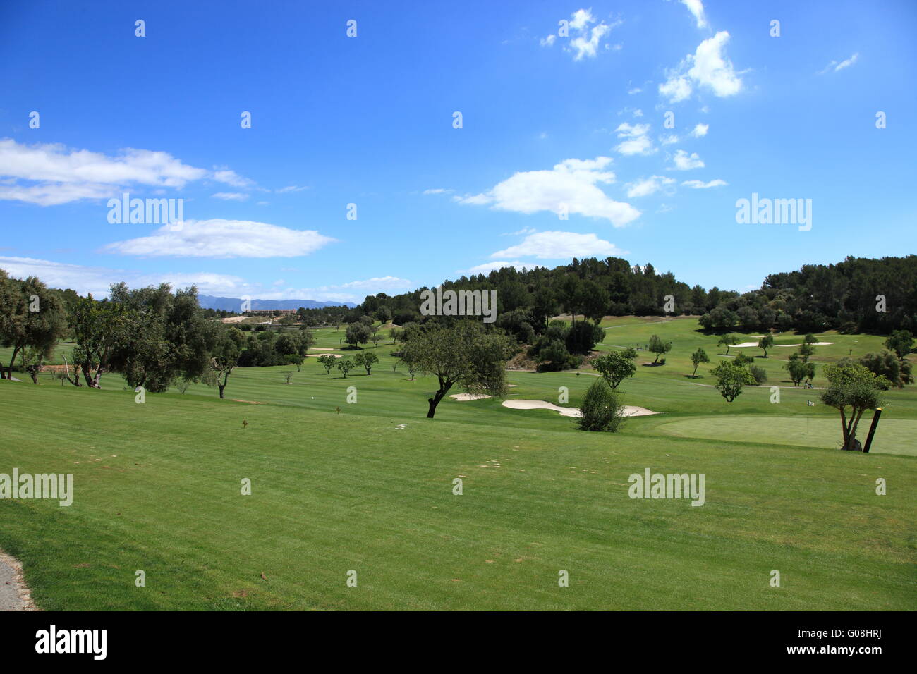 Panoramic view of a golf course Stock Photo - Alamy