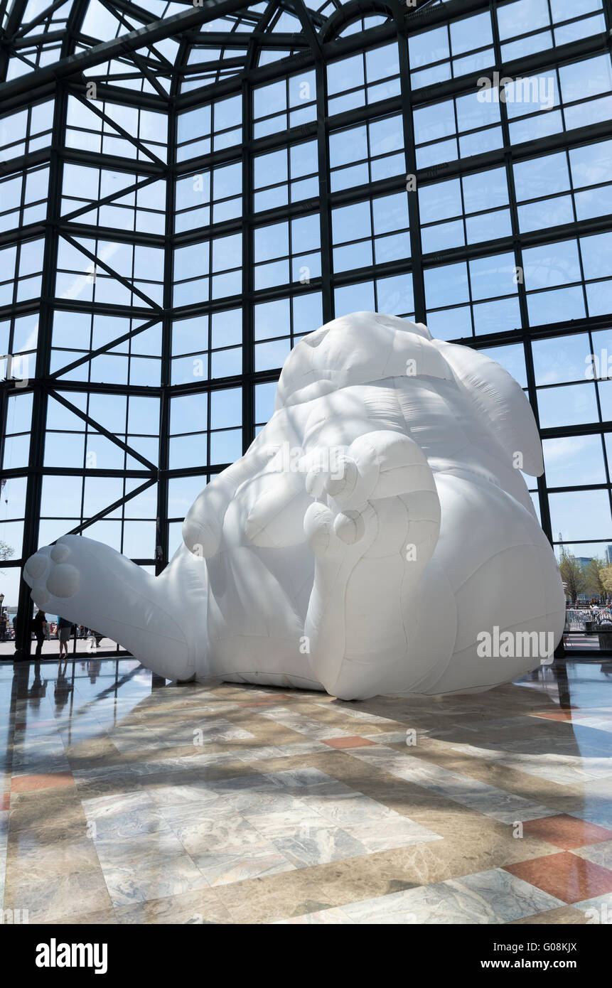 Huge rabbits hi-res stock photography and images - Alamy