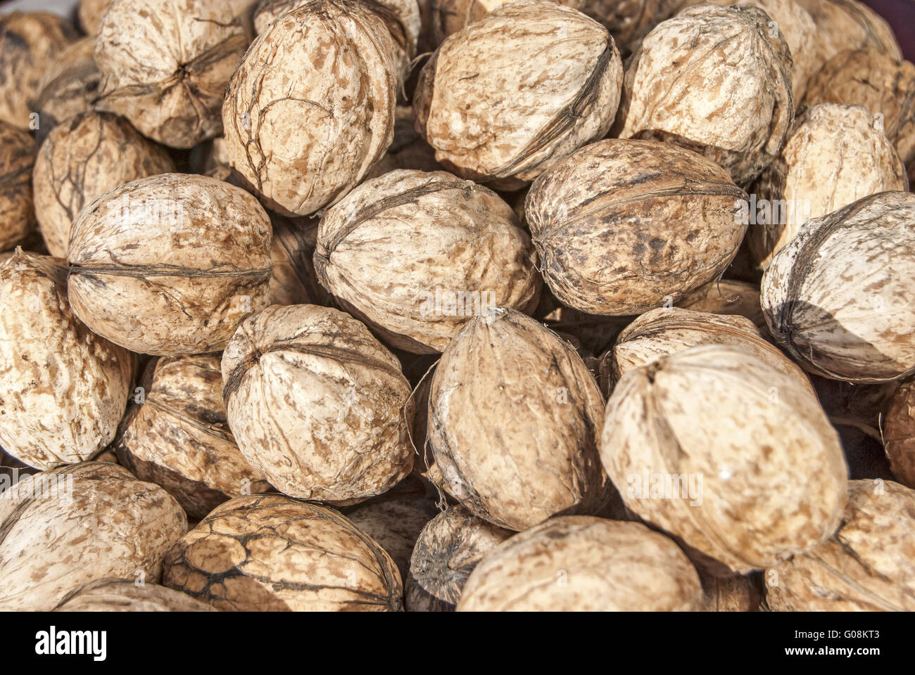 Freshly picked organic walnuts closeup as backgrou Stock Photo - Alamy