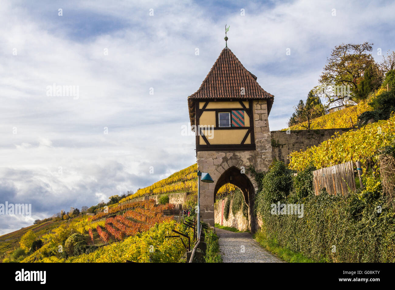 Vineyard gate hi-res stock photography and images - Alamy