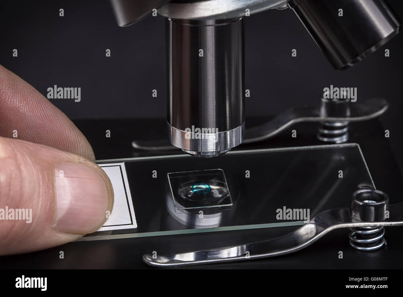 fingers holding an object slide under a microscope lens Stock Photo - Alamy