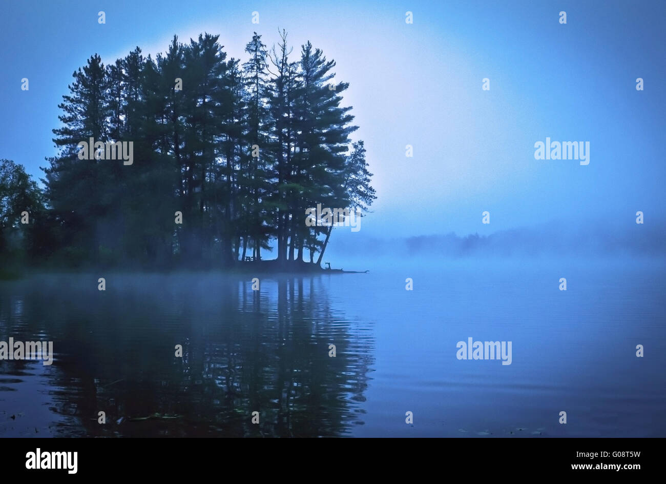 Forest lake fog rises hi-res stock photography and images - Alamy