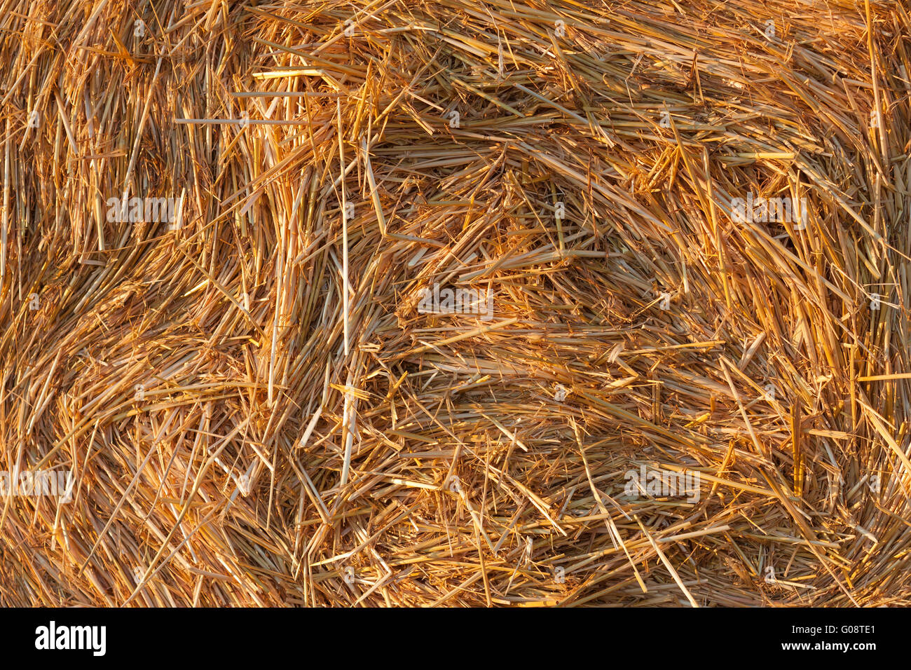 round bale of straw background Stock Photo - Alamy