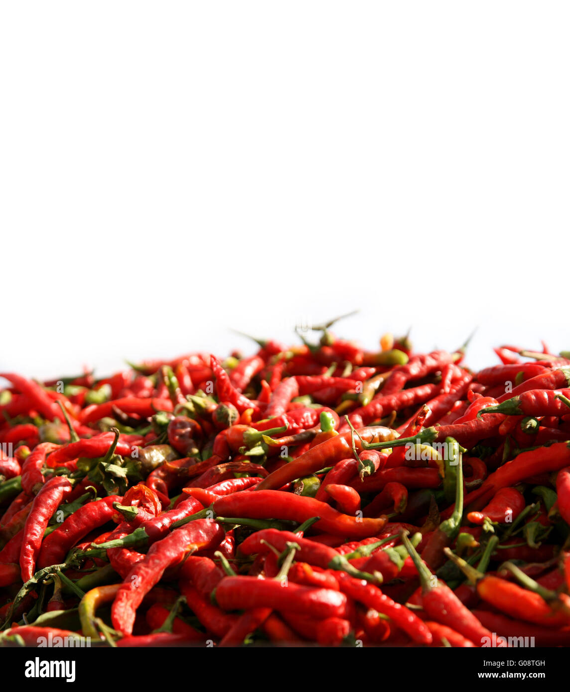 Chili very hot Stock Photo - Alamy