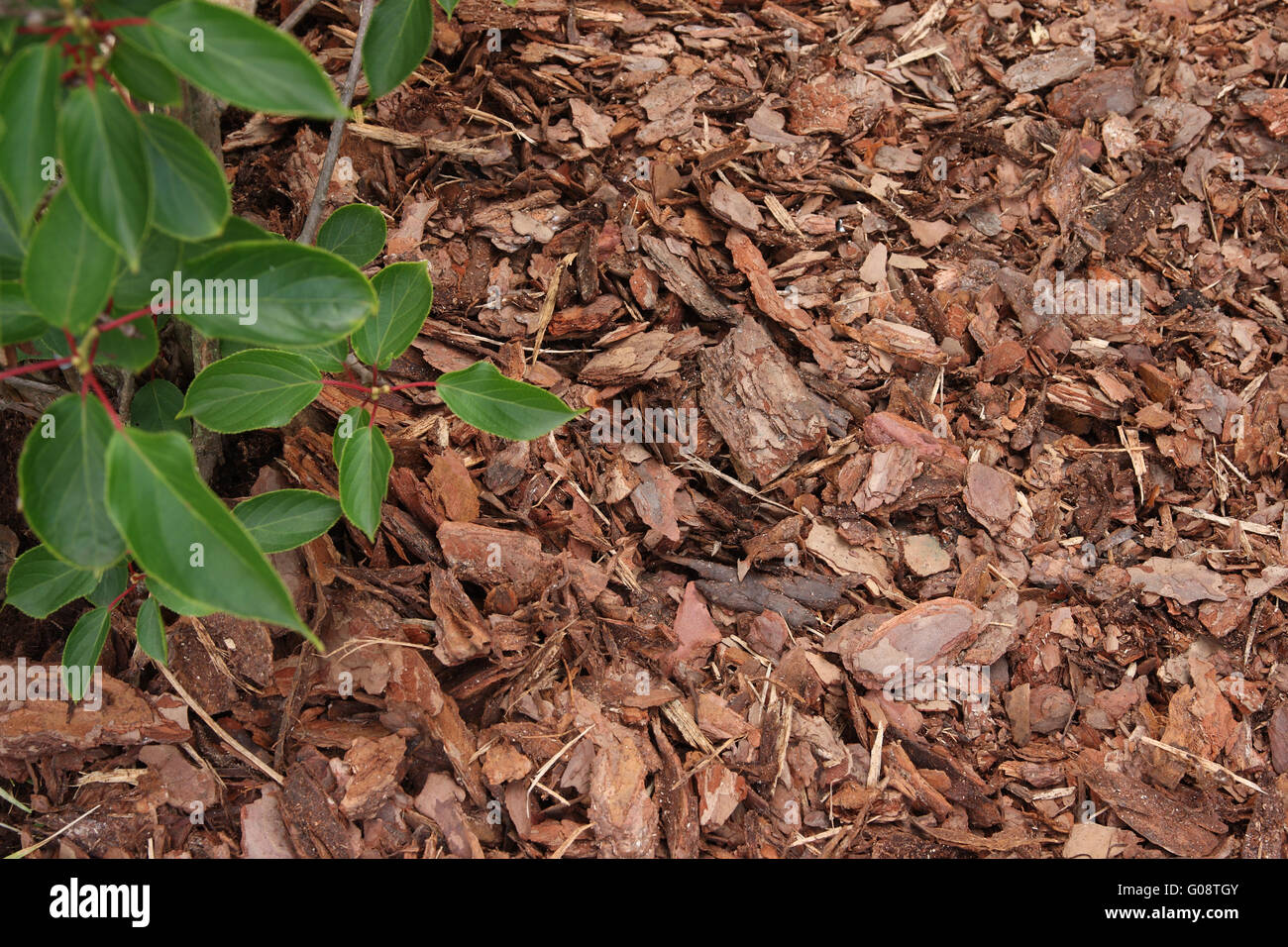 Bark mulch hi-res stock photography and images - Alamy