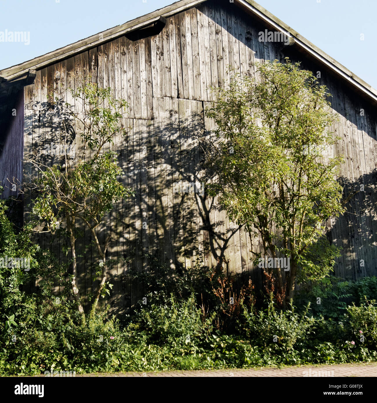 Barn with trees and shade Stock Photo - Alamy