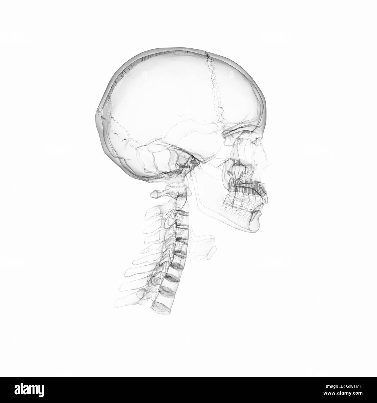 X ray examination hi-res stock photography and images - Alamy