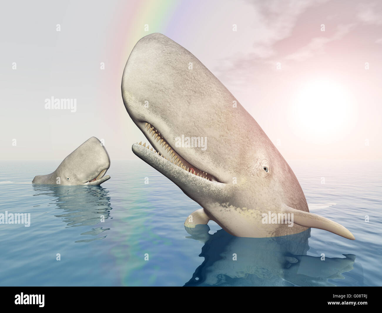 Walfische hi-res stock photography and images - Alamy