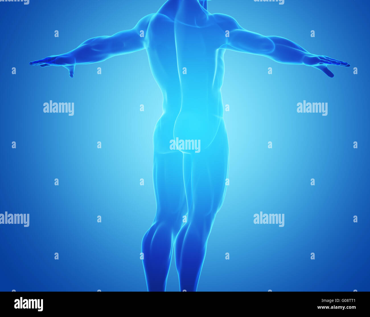 Male muscles hi-res stock photography and images - Alamy
