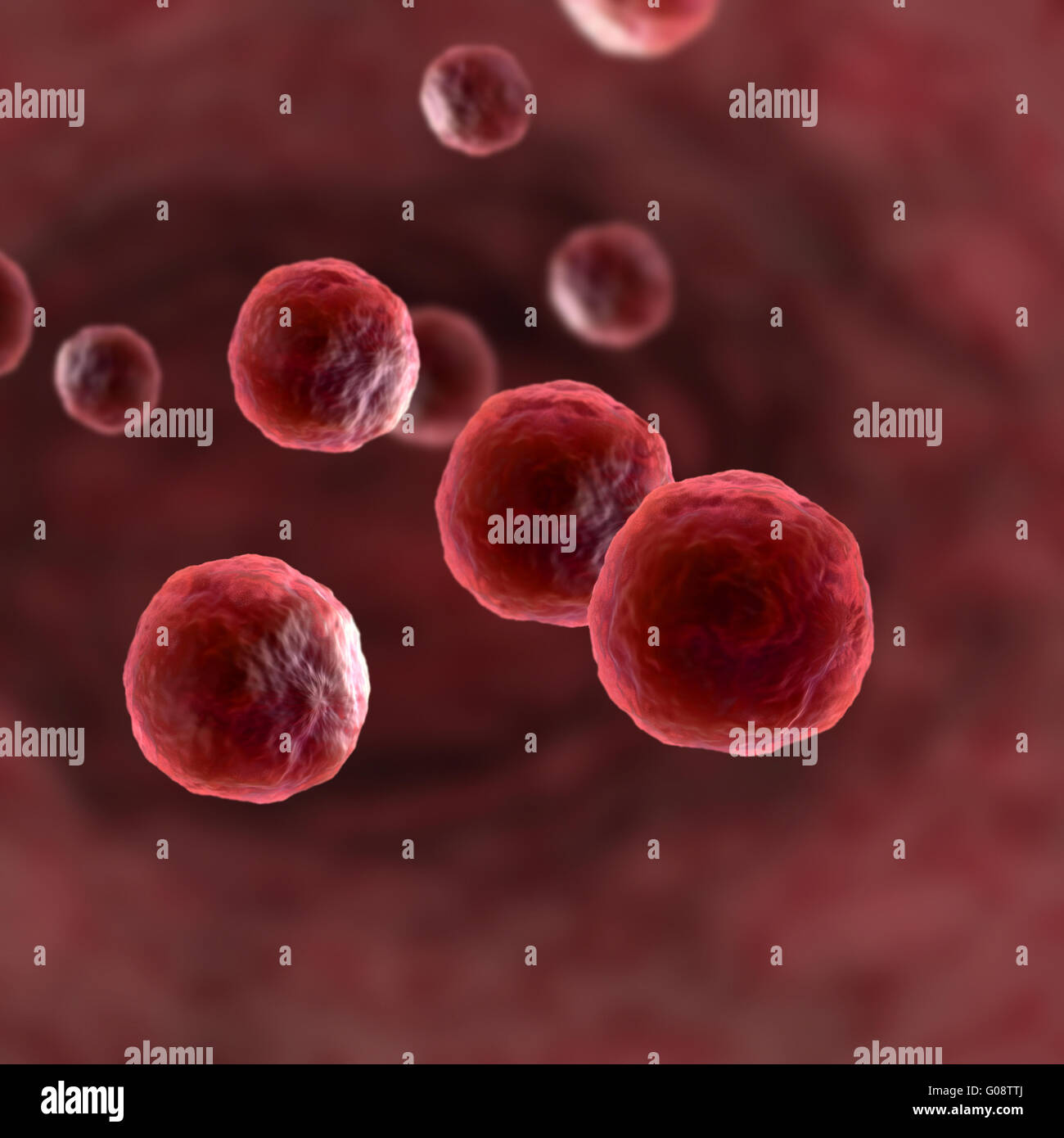 Microscopic View Bacteria High Resolution Stock Photography and Images ...