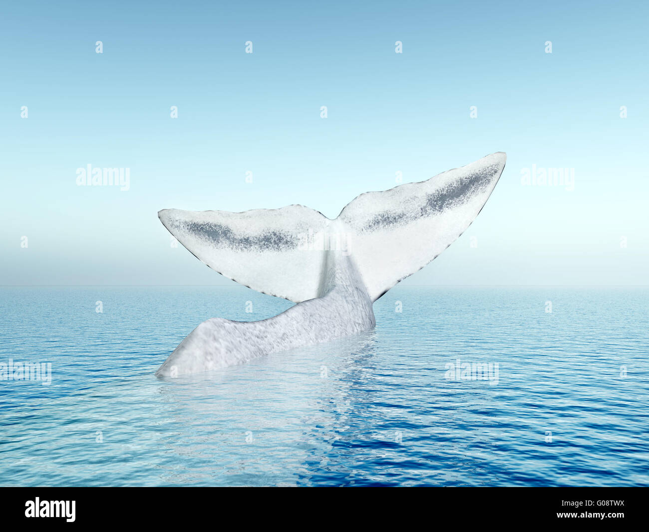 White sperm whale hi-res stock photography and images - Alamy