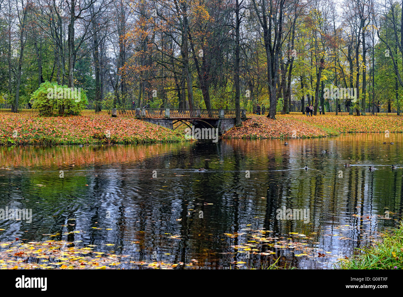 Autumn landscape with river and bridge in Catherine park, Pushkin Stock ...
