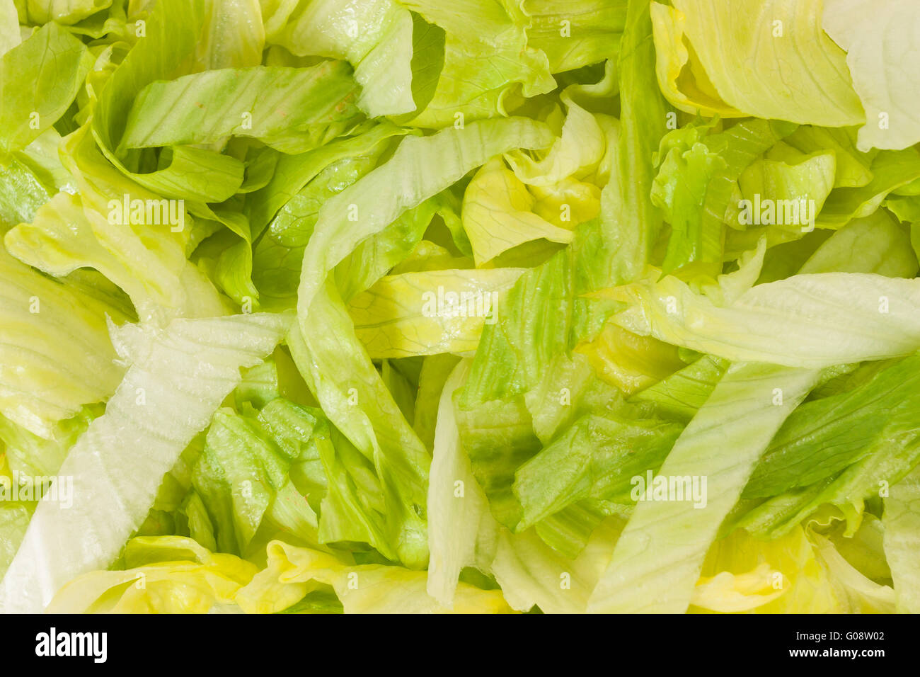 The texture of the leaves of salad Stock Photo - Alamy