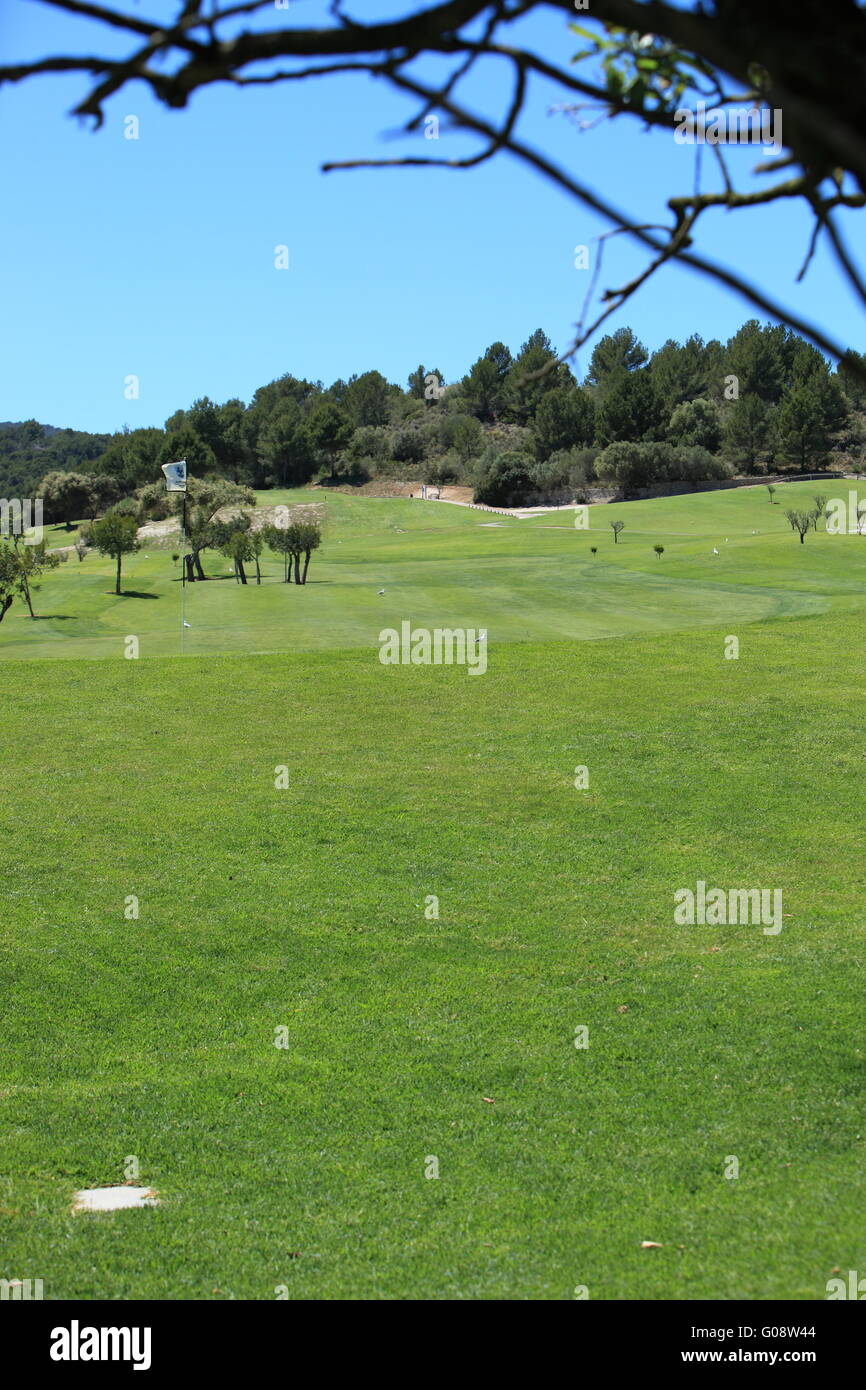 From the tee hi-res stock photography and images - Alamy