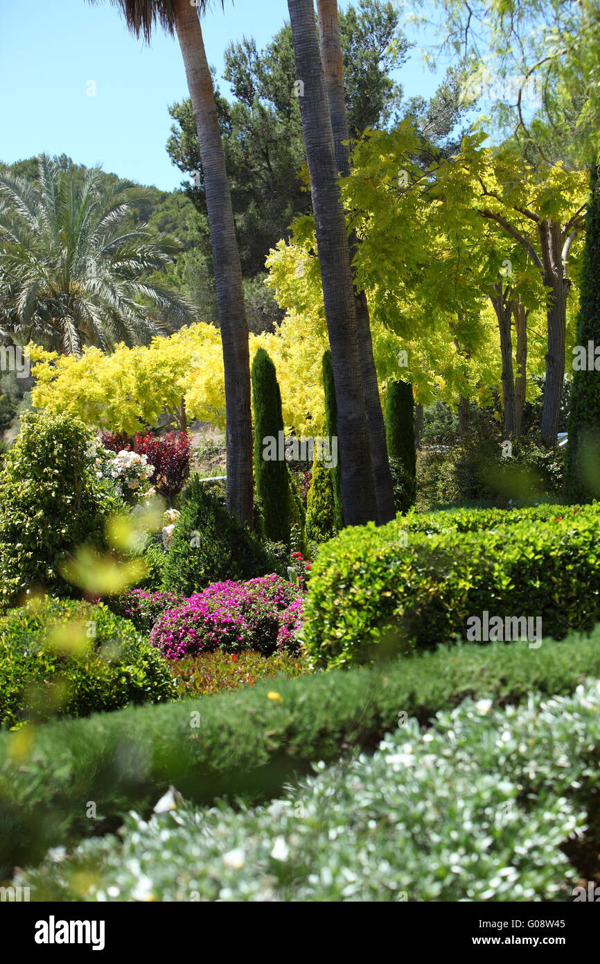 Lush tropical garden Stock Photo - Alamy