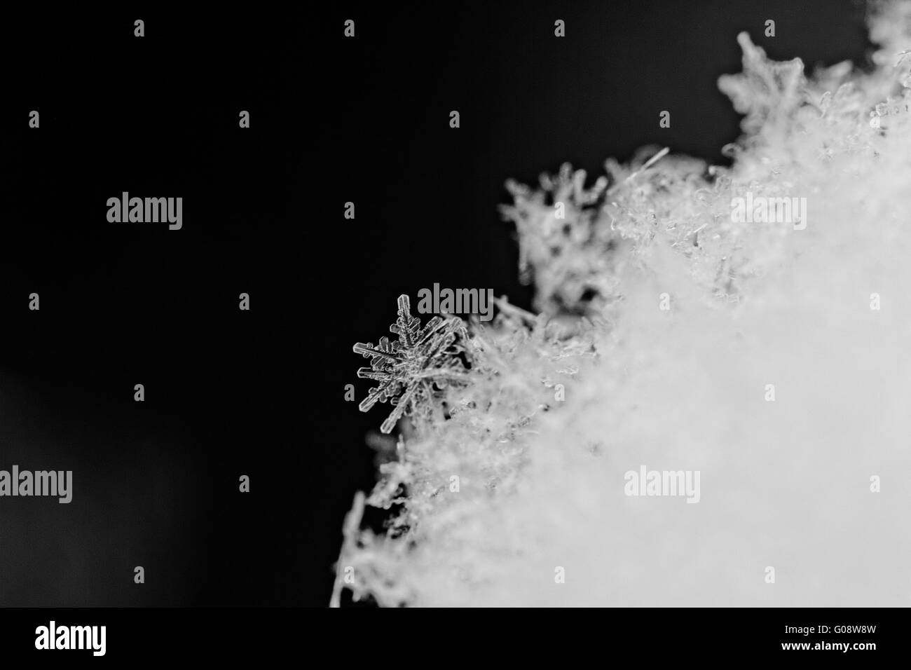 Still life snow flake crystals hi-res stock photography and images - Alamy