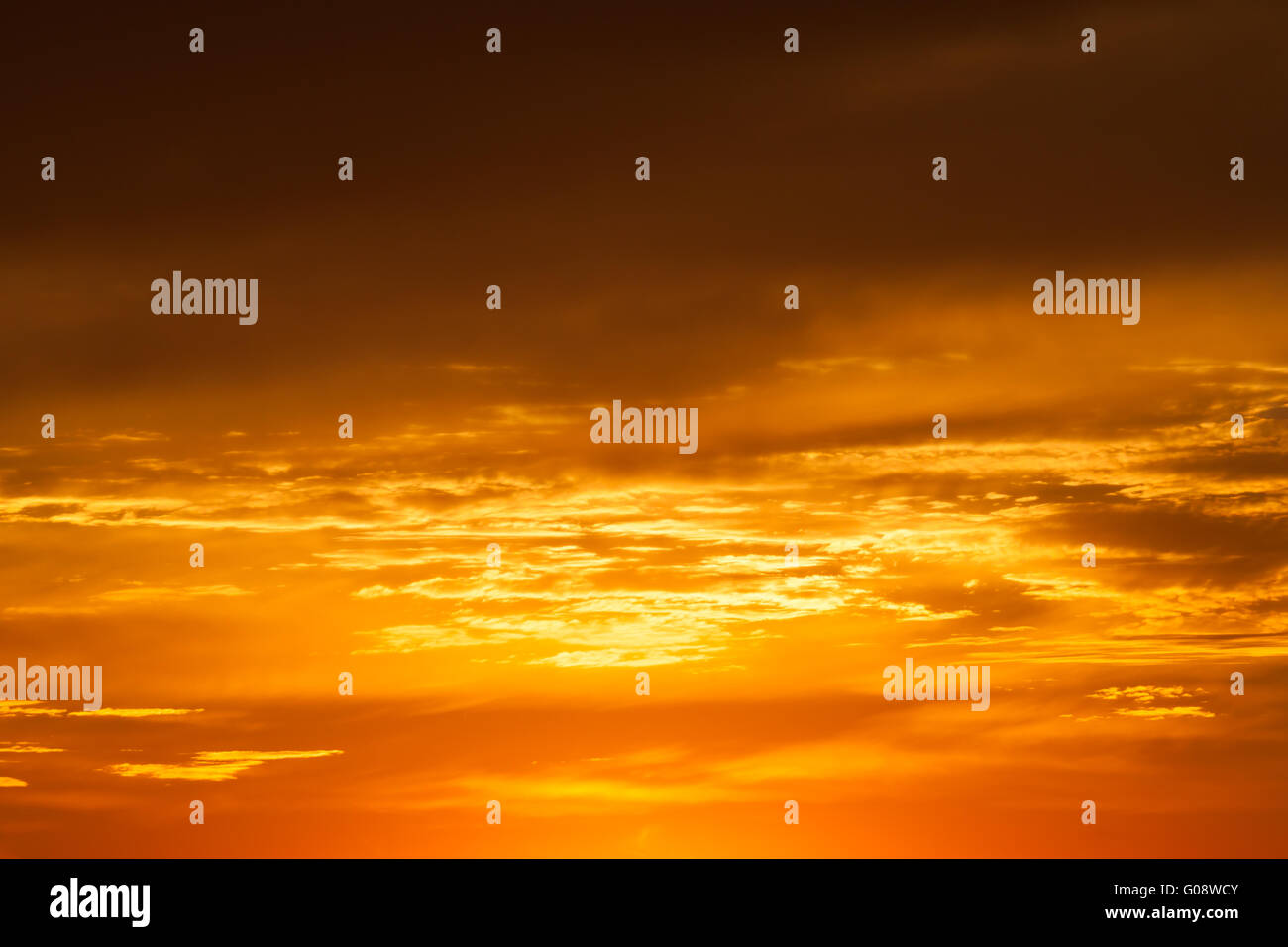 Bright vibrant orange and yellow colors sunset sky Stock Photo - Alamy