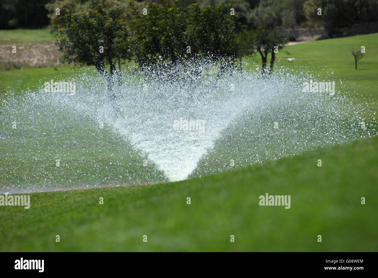 Sprinkler on a golf course Stock Photo - Alamy