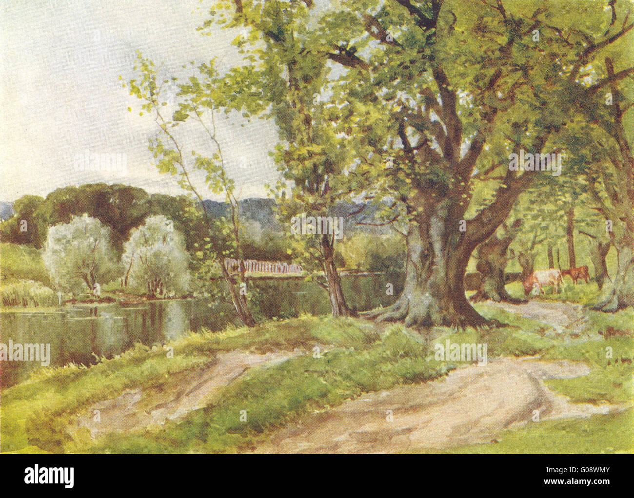 LONDON: Epping Forest: Forest Pool, Chingford, antique print 1909 Stock ...