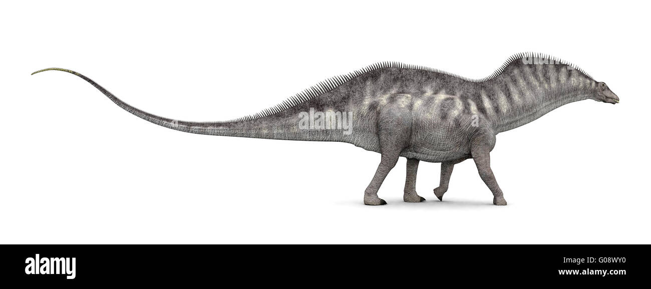 Amargasaurus hi-res stock photography and images - Alamy
