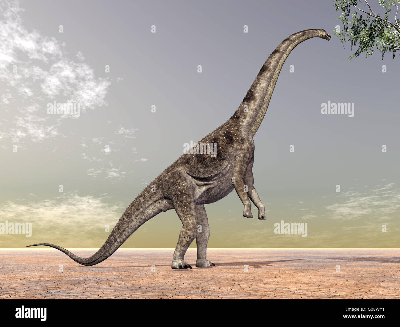 Puertasaurus hi-res stock photography and images - Alamy