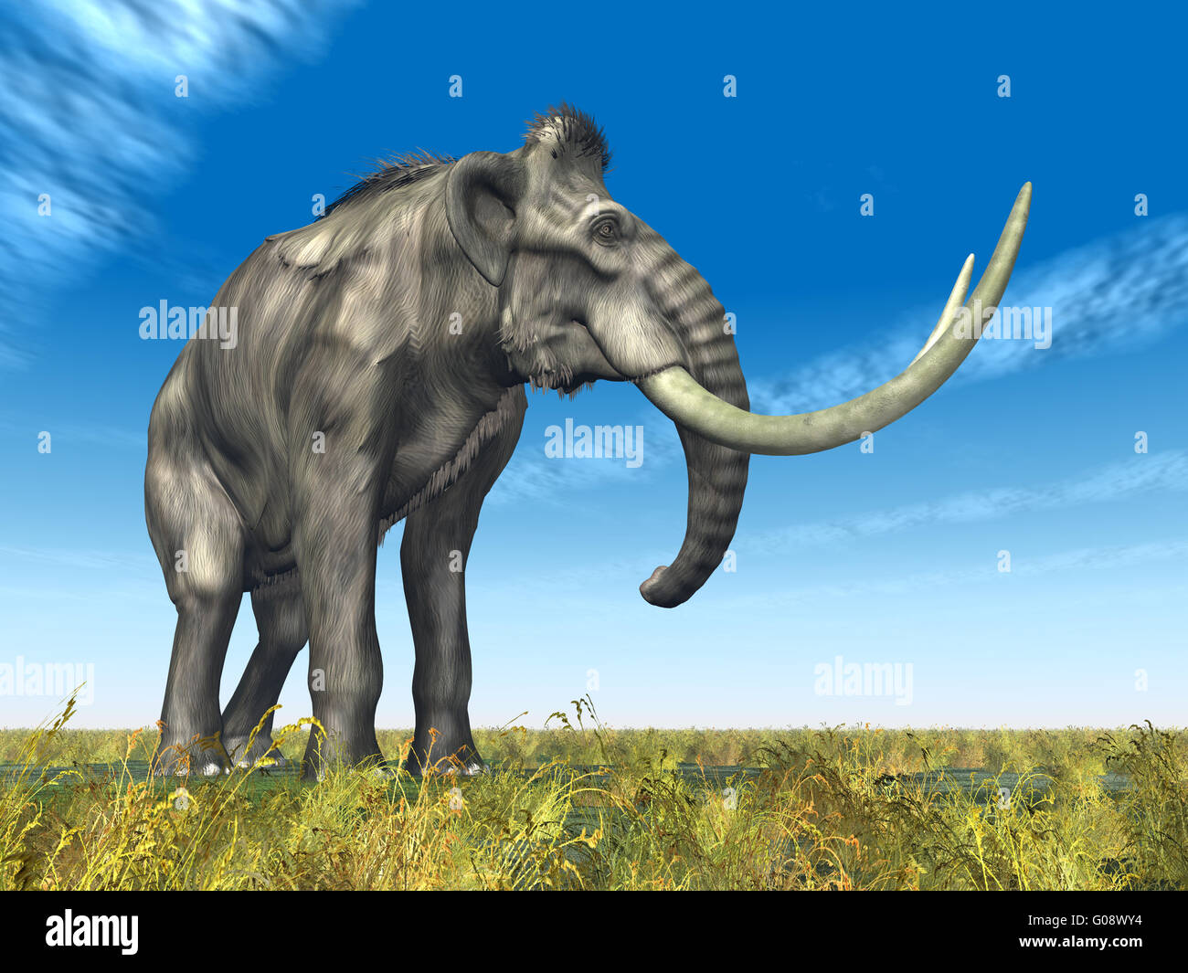 Elephants and mammoths hi-res stock photography and images - Alamy