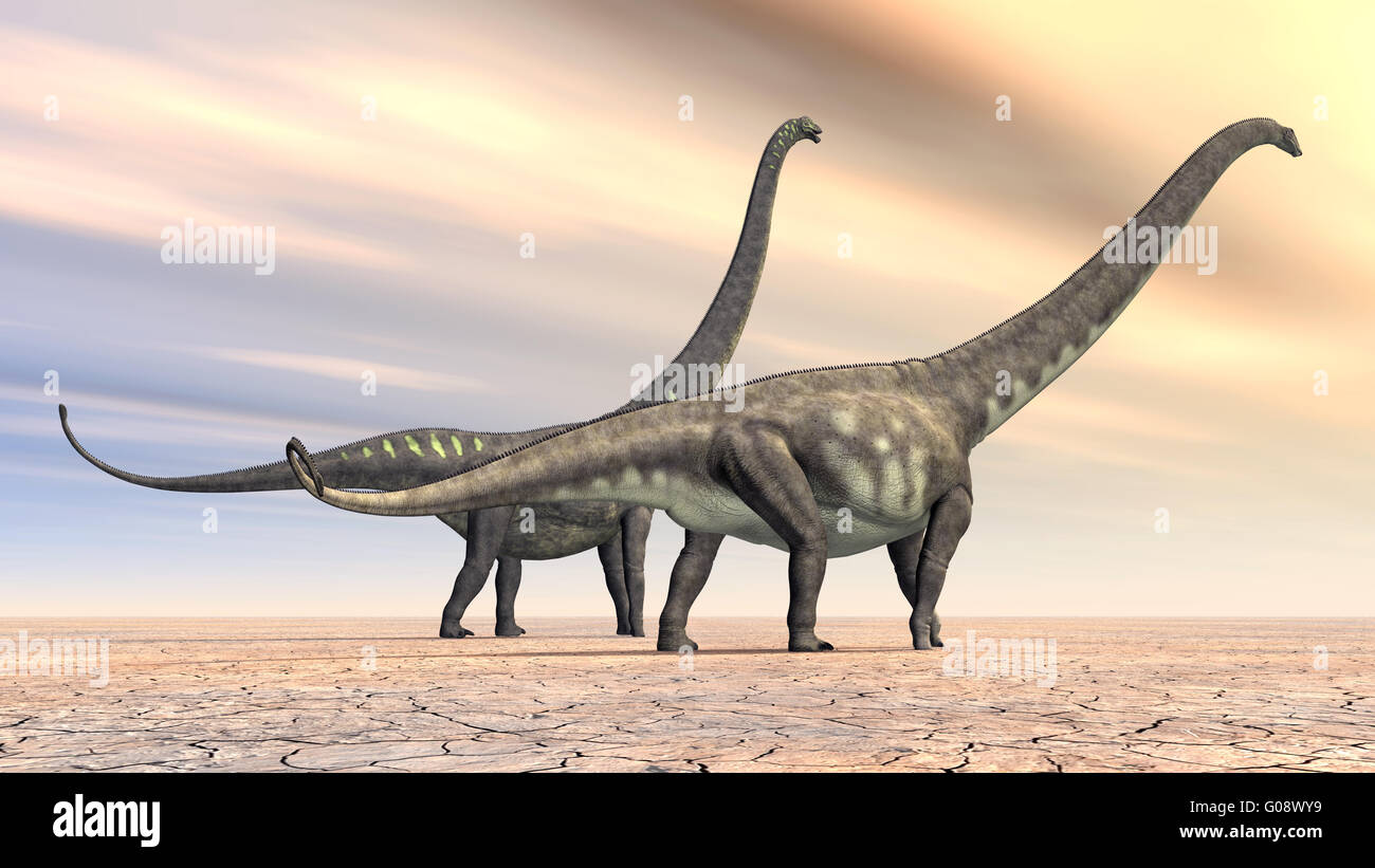 Mamenchisaurus dinosaurs hi-res stock photography and images - Alamy