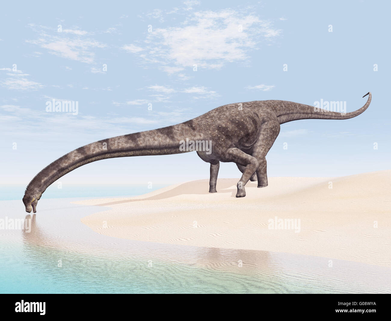 Puertasaurus hi-res stock photography and images - Alamy