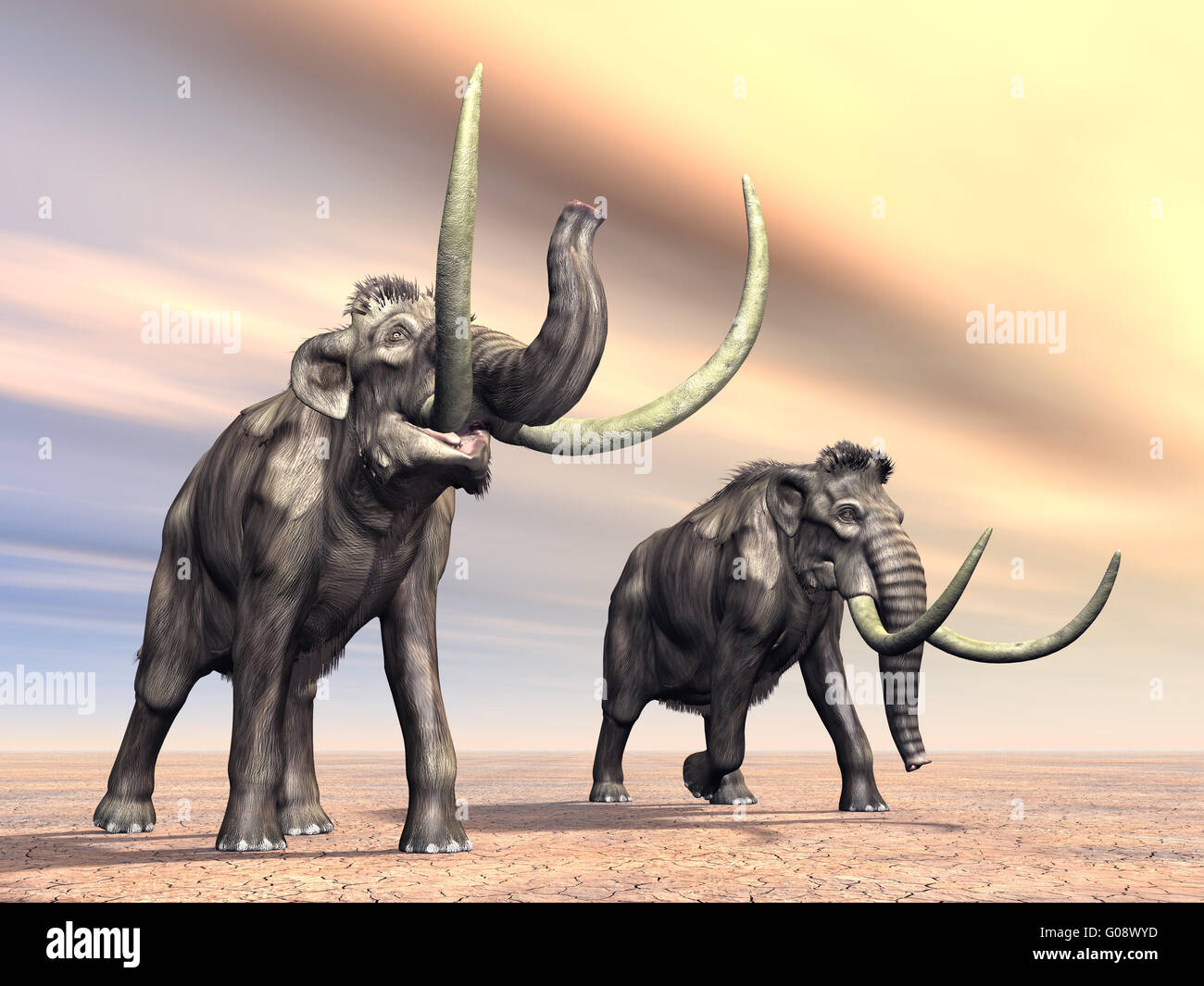 Elephants and mammoths hi-res stock photography and images - Alamy