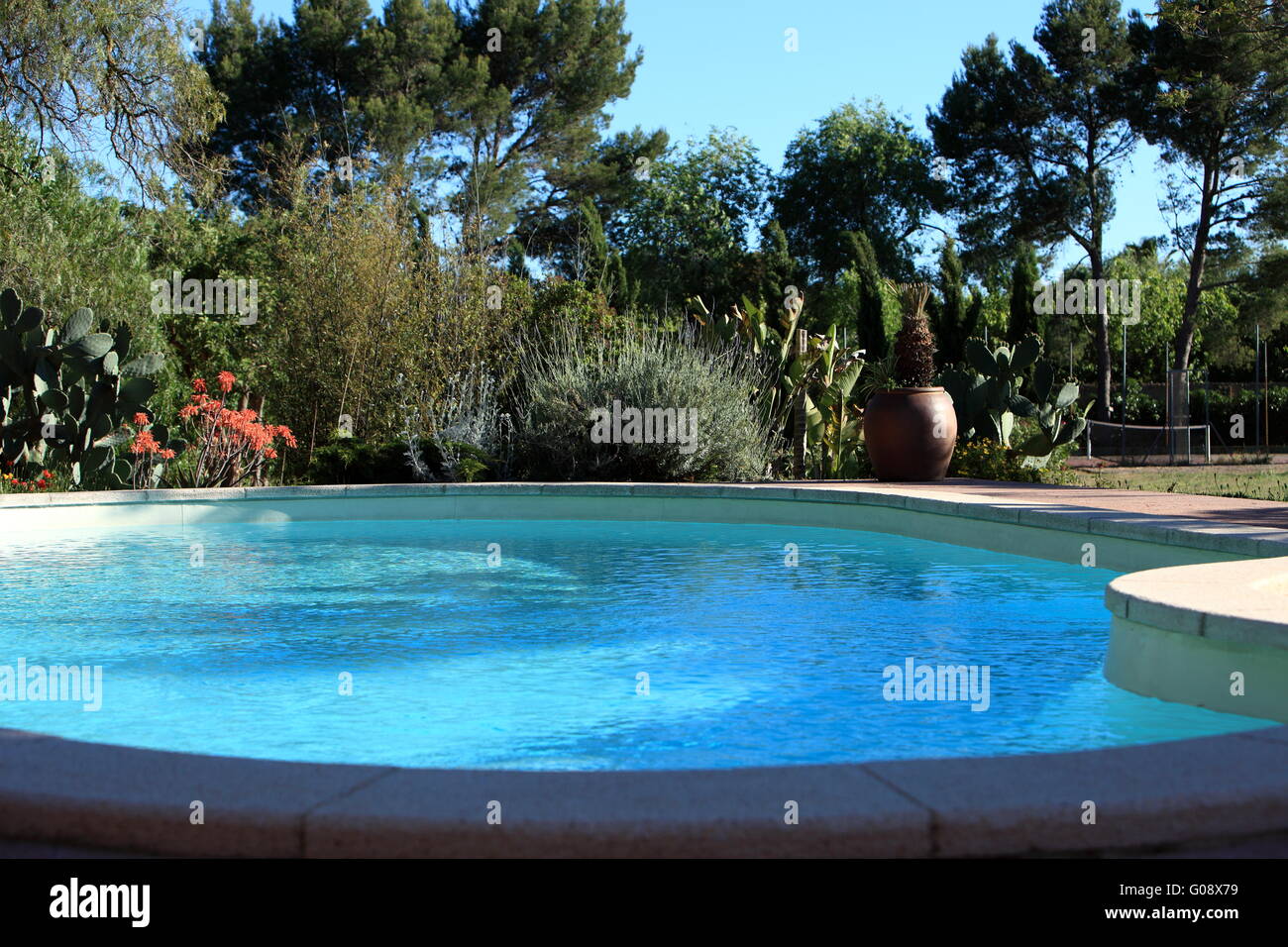 Sparkling blue swimming pool Stock Photo - Alamy