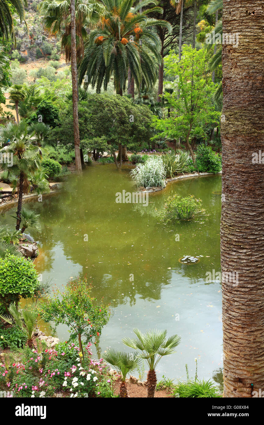 Tranquil pool in a landscaped garden Stock Photo - Alamy