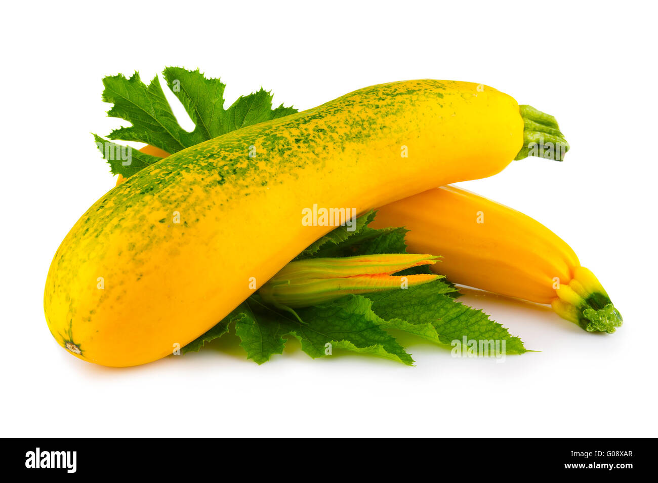 Yellow marrow vegetables with blossom and leaves isolated Stock Photo ...