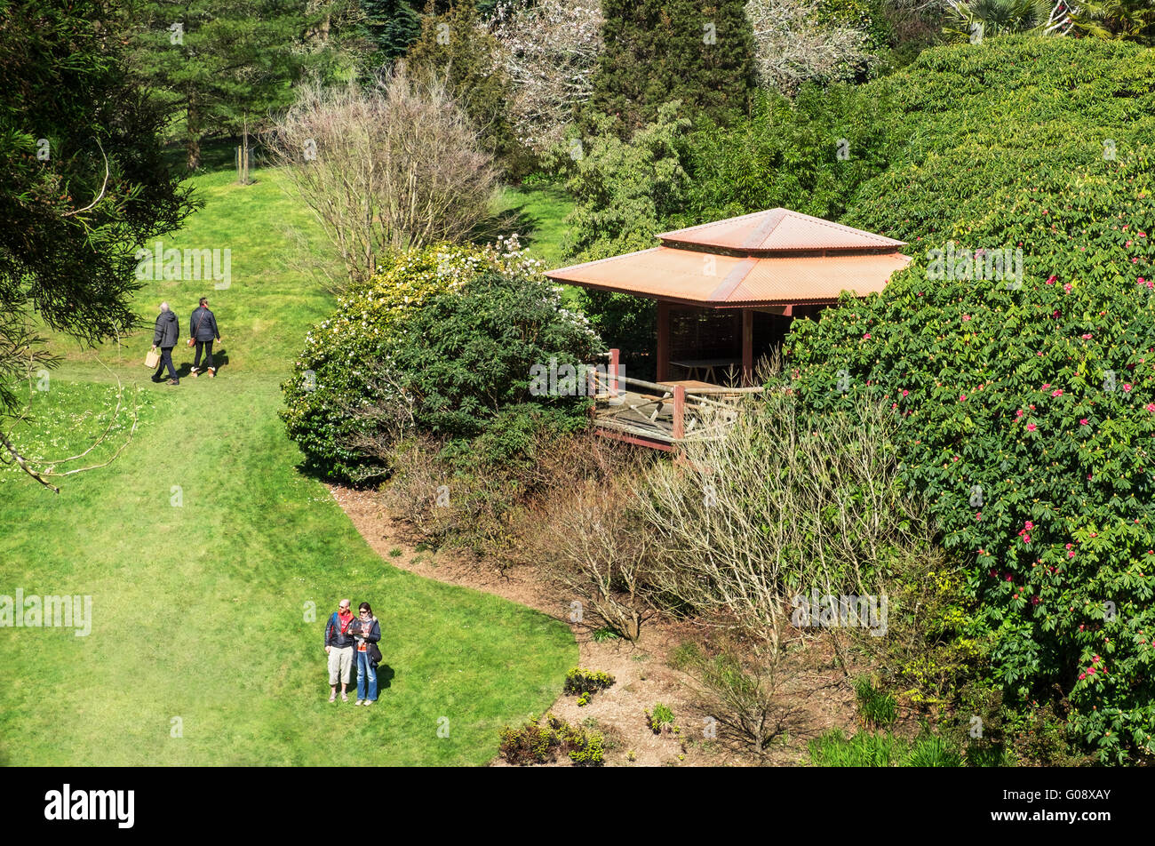 The gardens at Tregothnan estate near Truro in Cornwall, UK Stock Photo ...