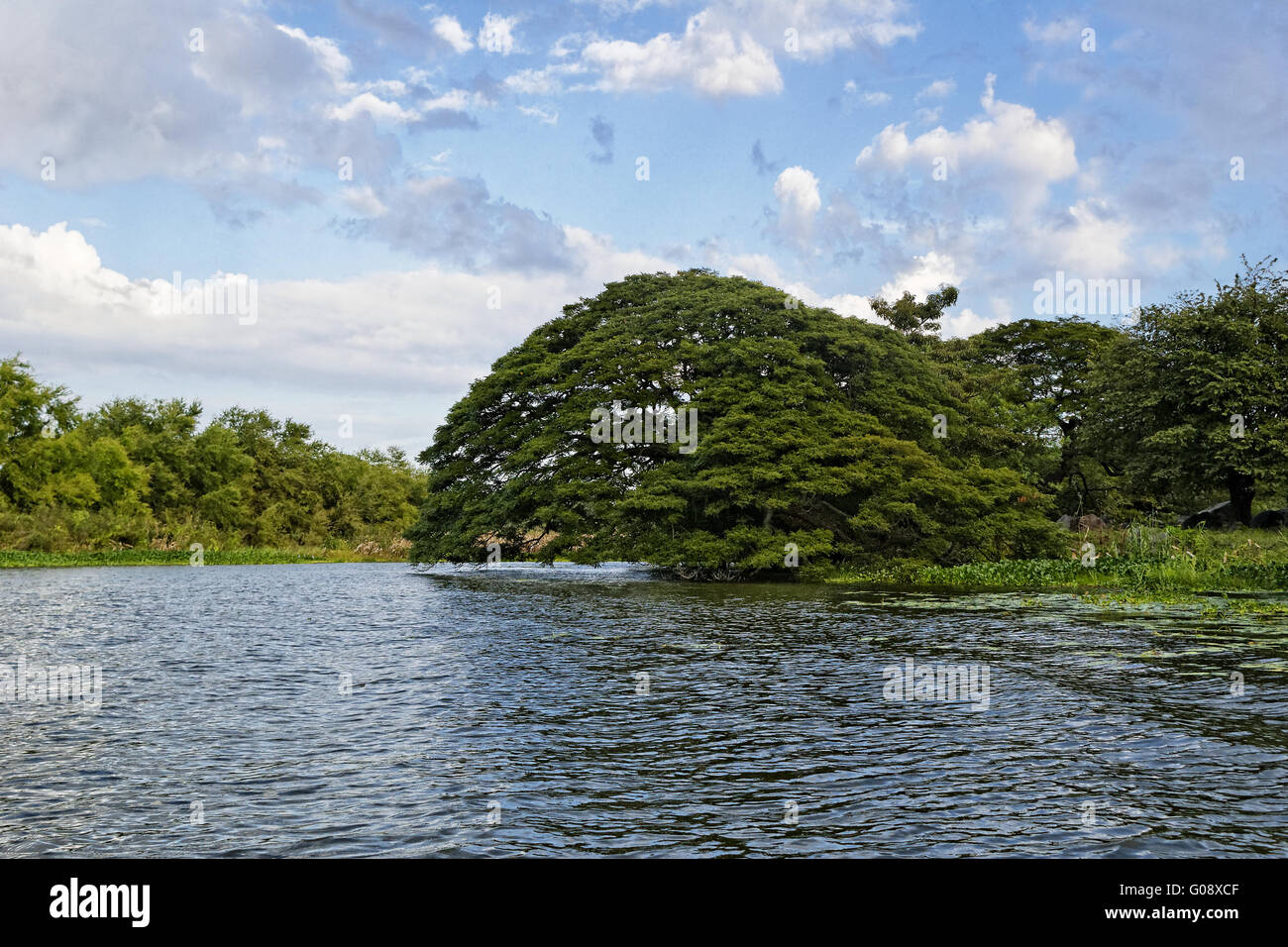 Islets of Granada, Nicaragua Stock Photo - Alamy