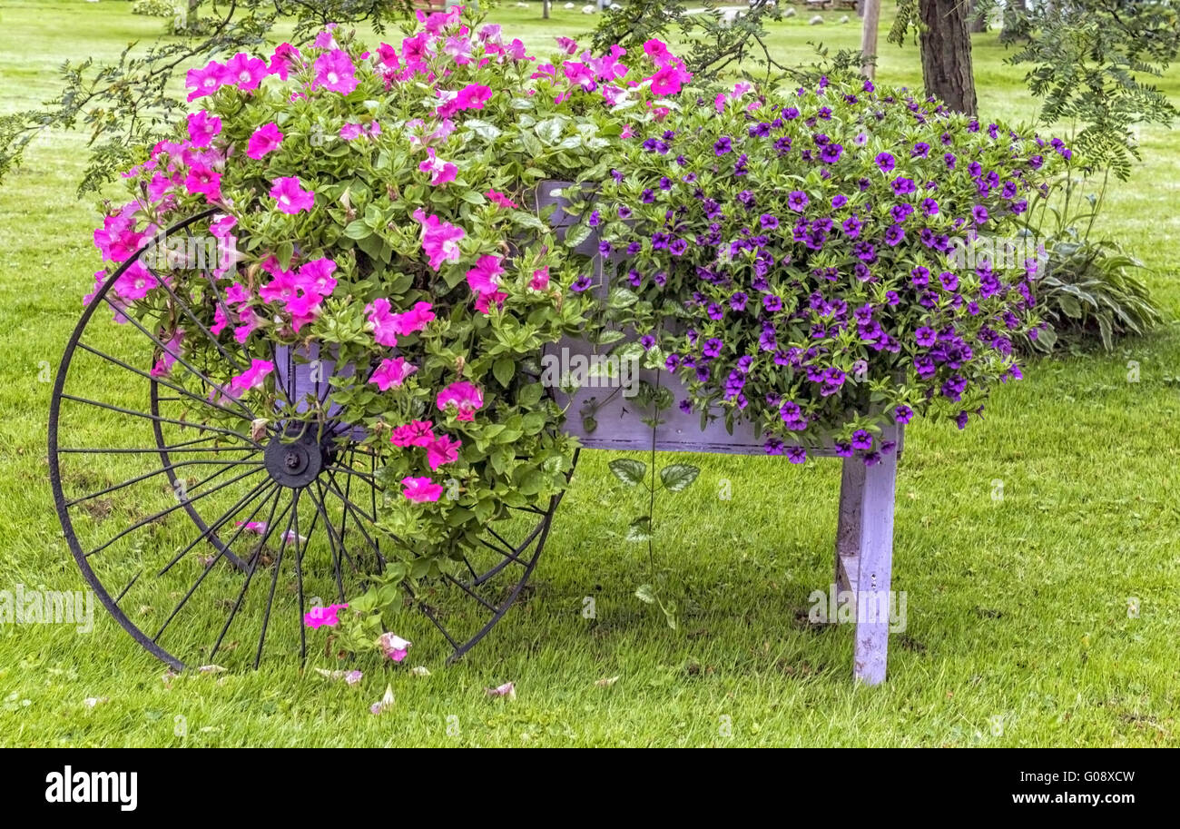 Flower cart display hi-res stock photography and images - Alamy