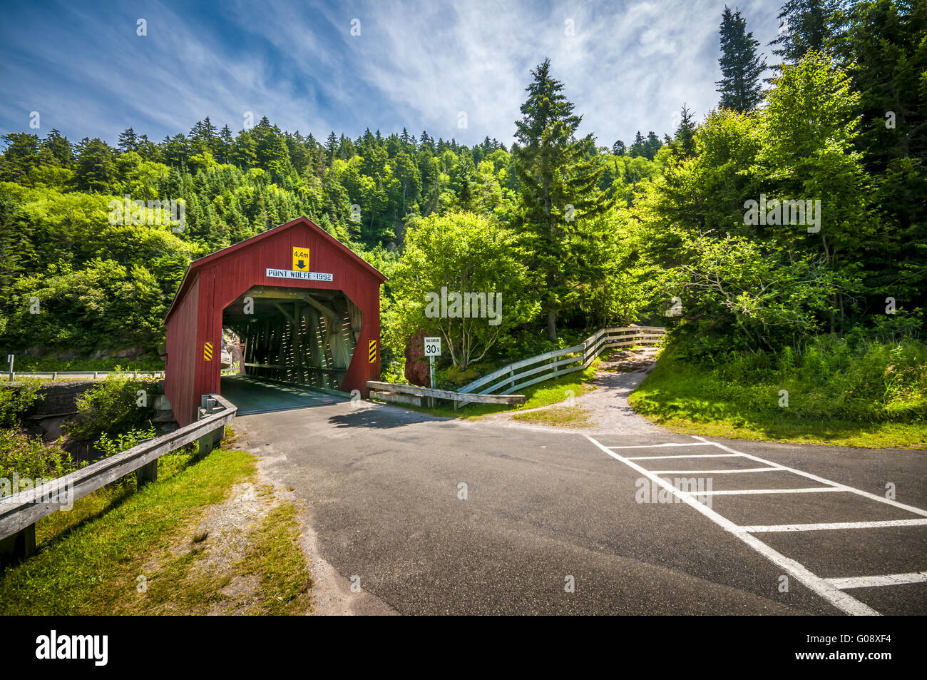 Tree covered trail hi-res stock photography and images - Alamy