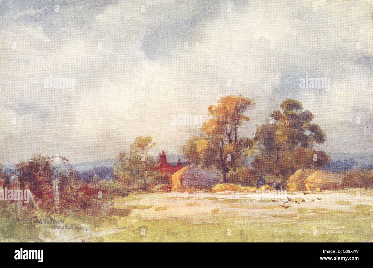 SUSSEX: Coldwaltham, antique print 1906 Stock Photo - Alamy