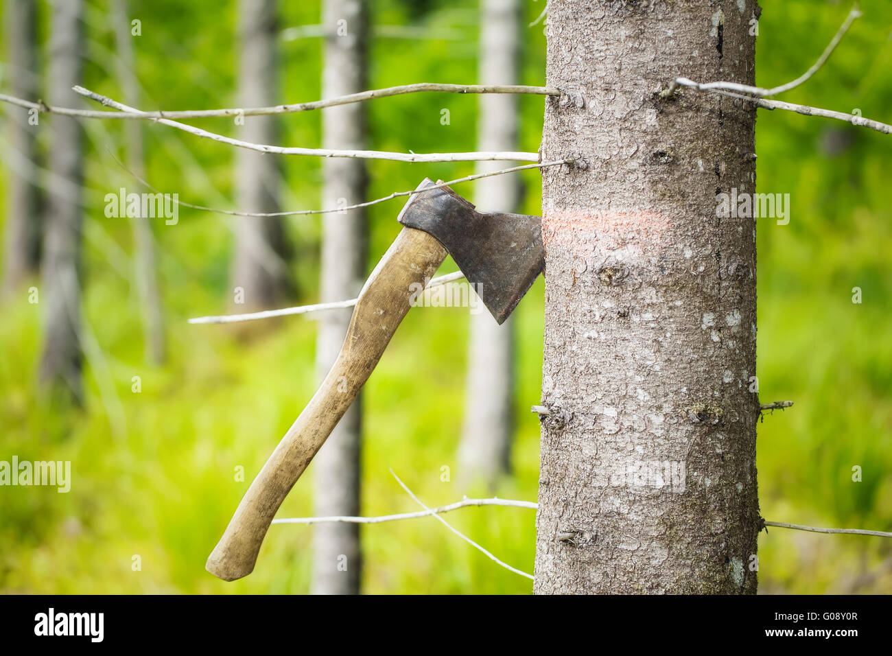 Chop tree ax hi-res stock photography and images - Alamy