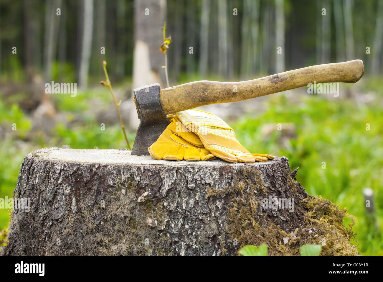Ax carved in stump in forest Stock Photo - Alamy