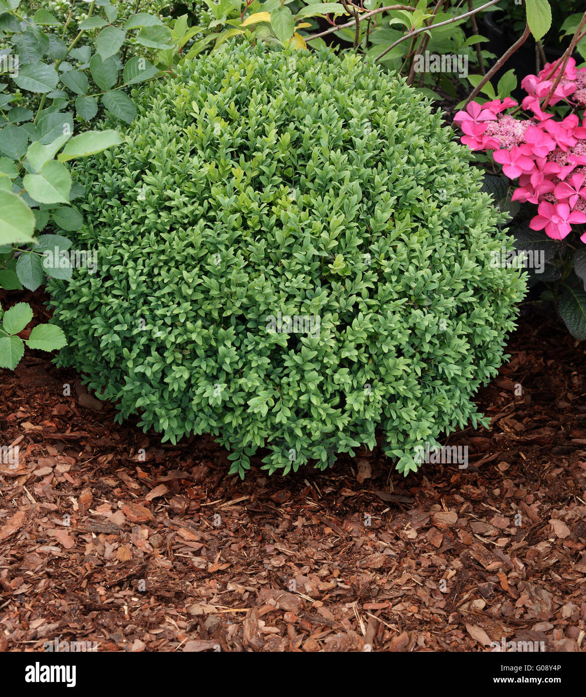 Boxtree hi-res stock photography and images - Alamy