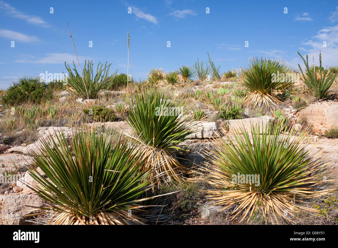 Impressive and scenic landscape in New Mexico Stock Photo - Alamy