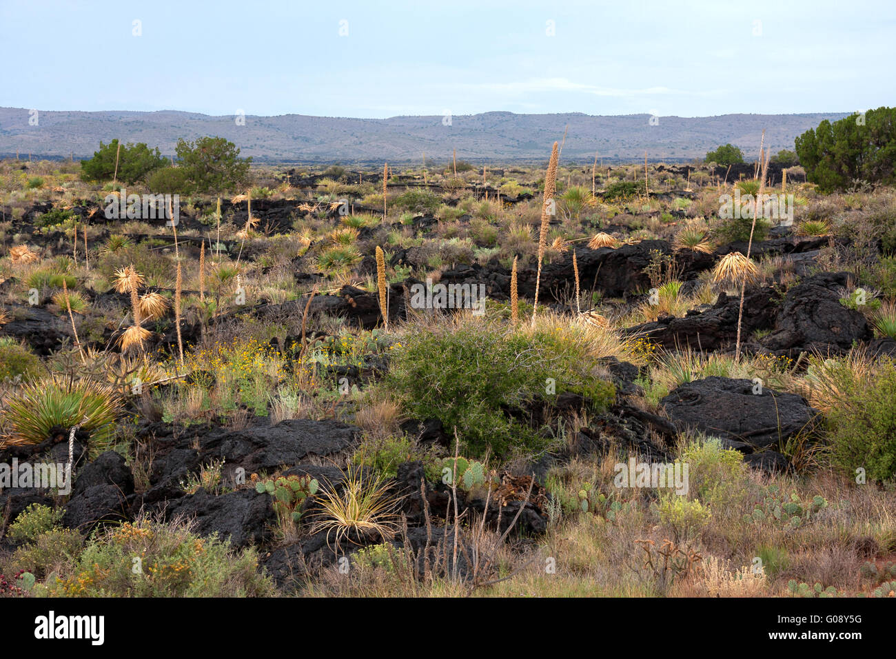 Impressive and scenic landscape in New Mexico Stock Photo - Alamy