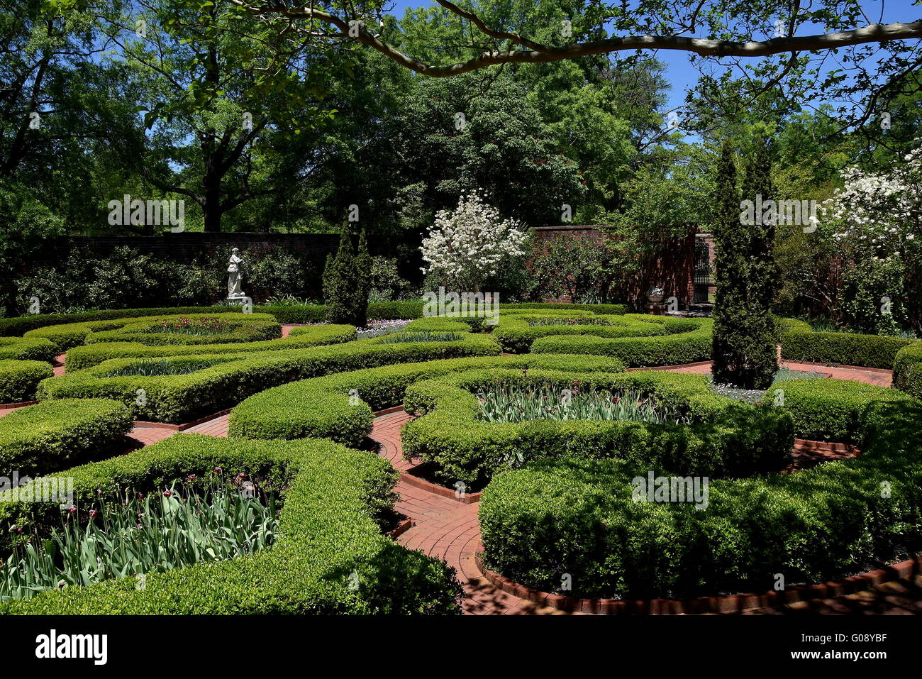 Clipped boxwood hi-res stock photography and images - Alamy