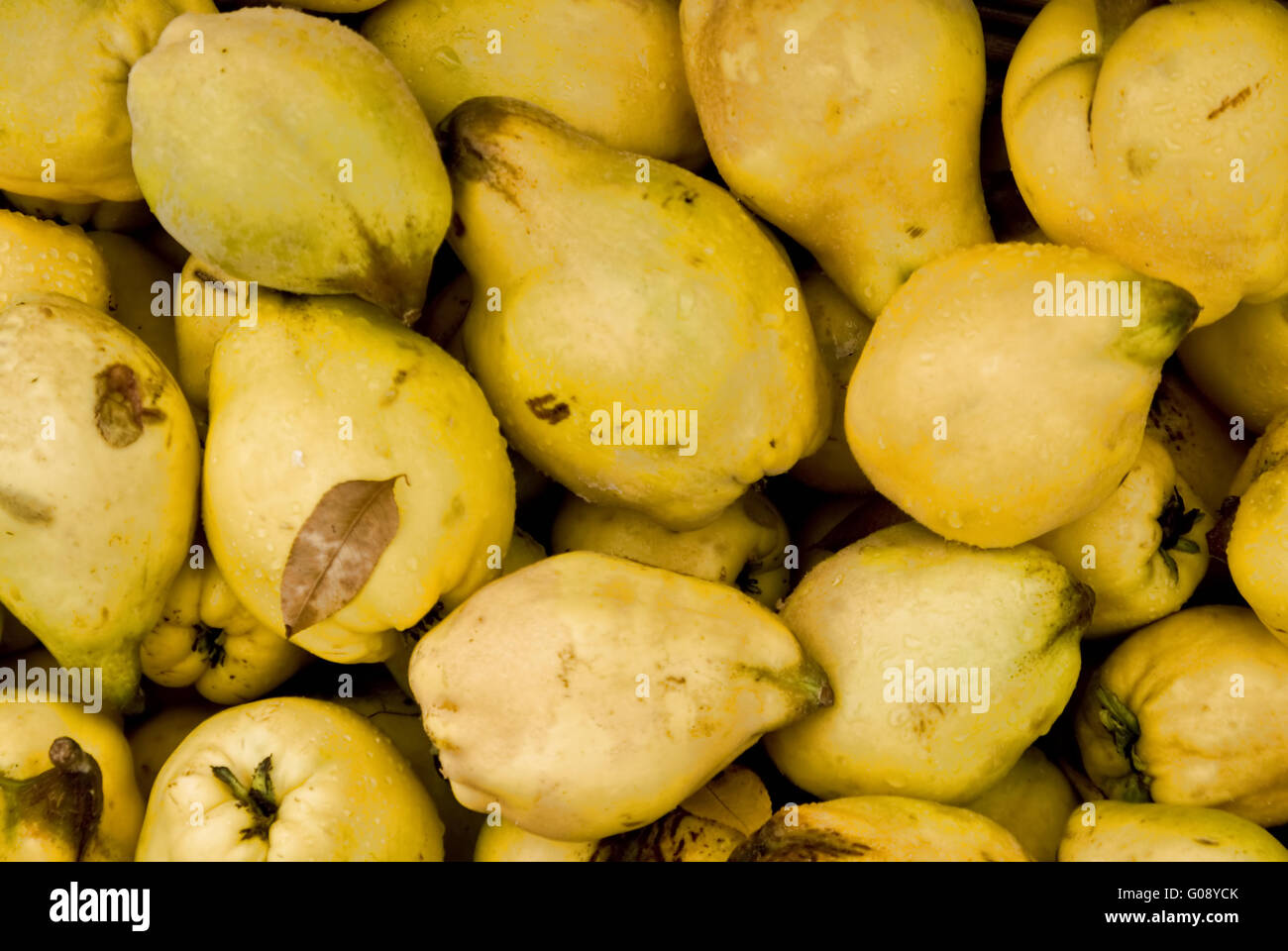 Food fruit fruits quinces quitten hi-res stock photography and images ...