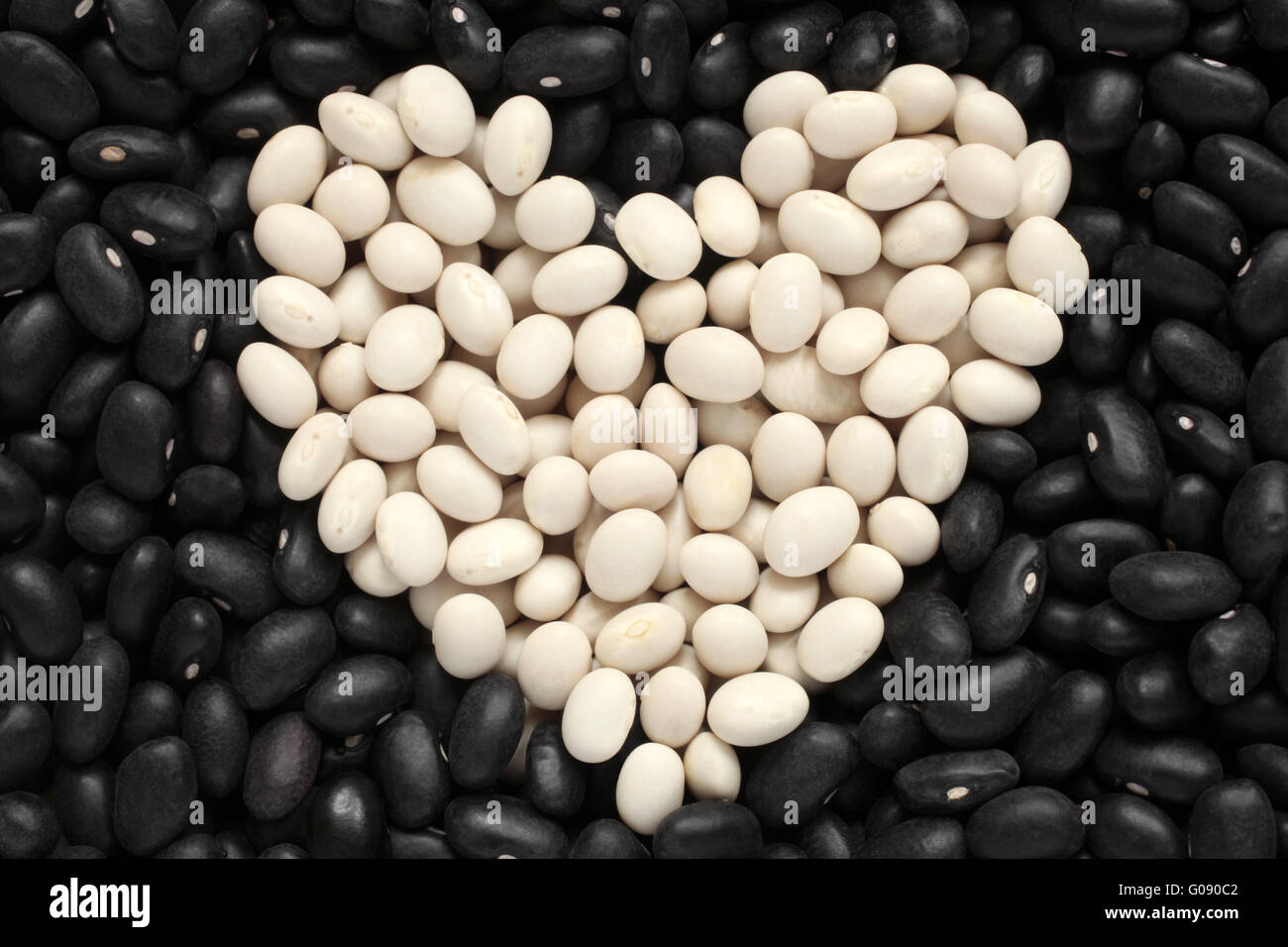 Heart shape from white haricot beans on black haricot beans background ...